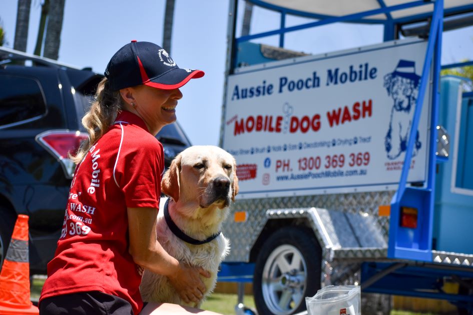 Dog Lovers - Aussie Pooch Corinda, Queensland in Brisbane - Greater QLD ...