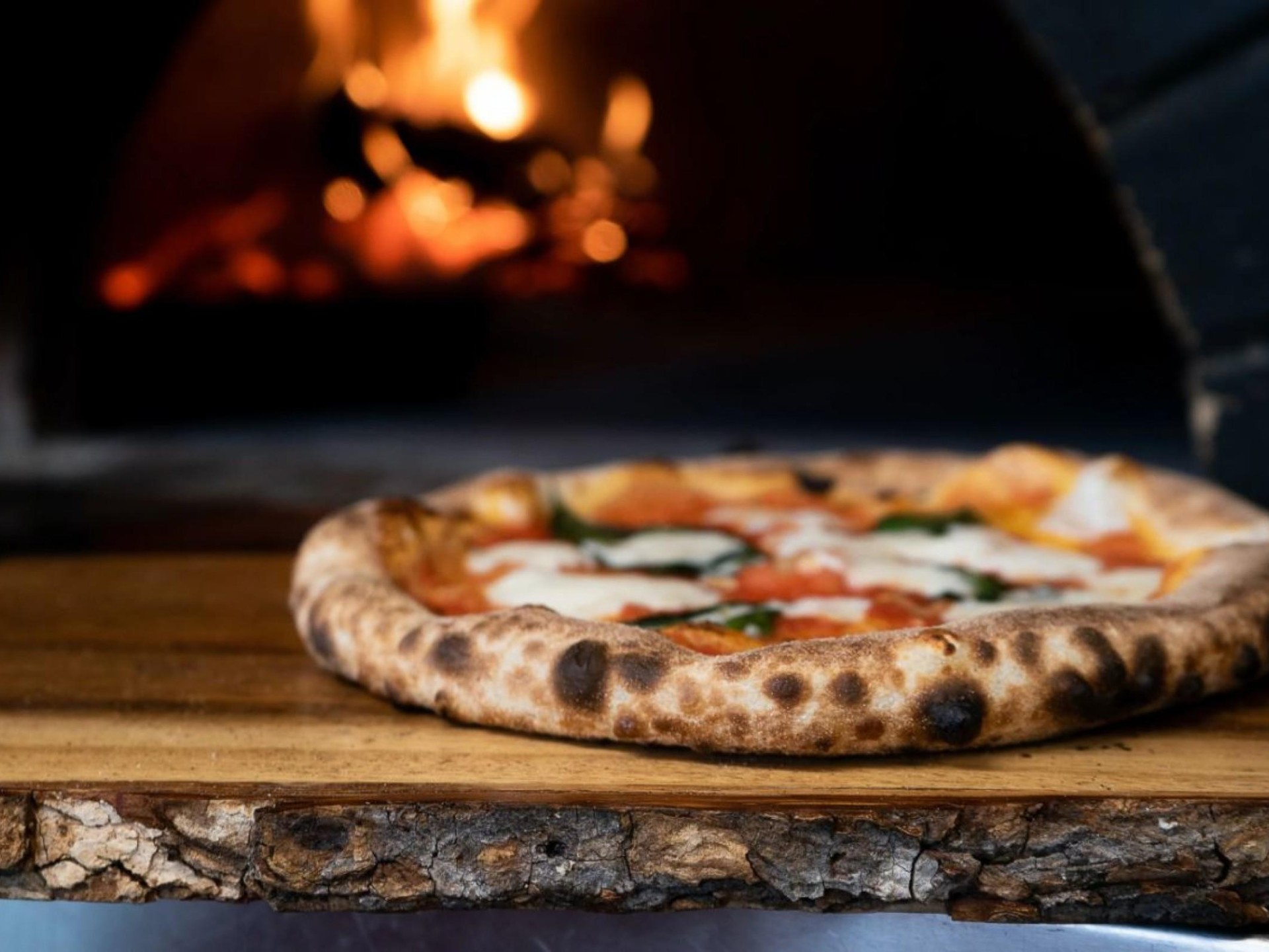 Funky Pizza shop with liquor license in Newtown NSW, 2042 | SEEK Business