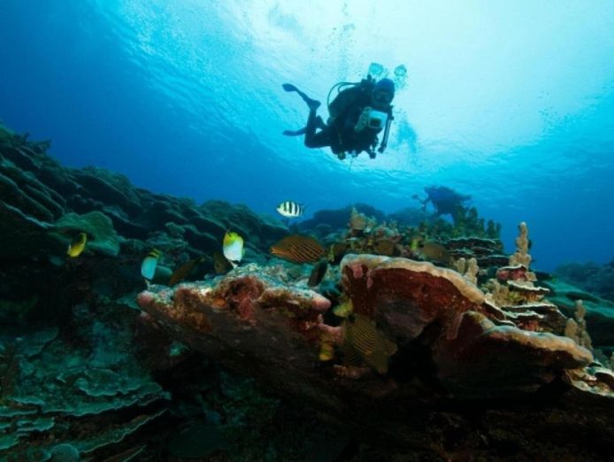 Professional Scuba Retailer in Burwood VIC, 3125 | SEEK Business