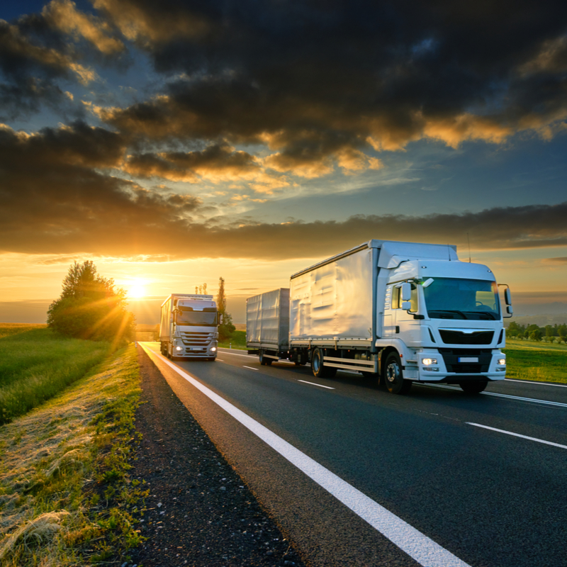 RTO with massive work in progress. SA funding. Highly profitable (1313 ...