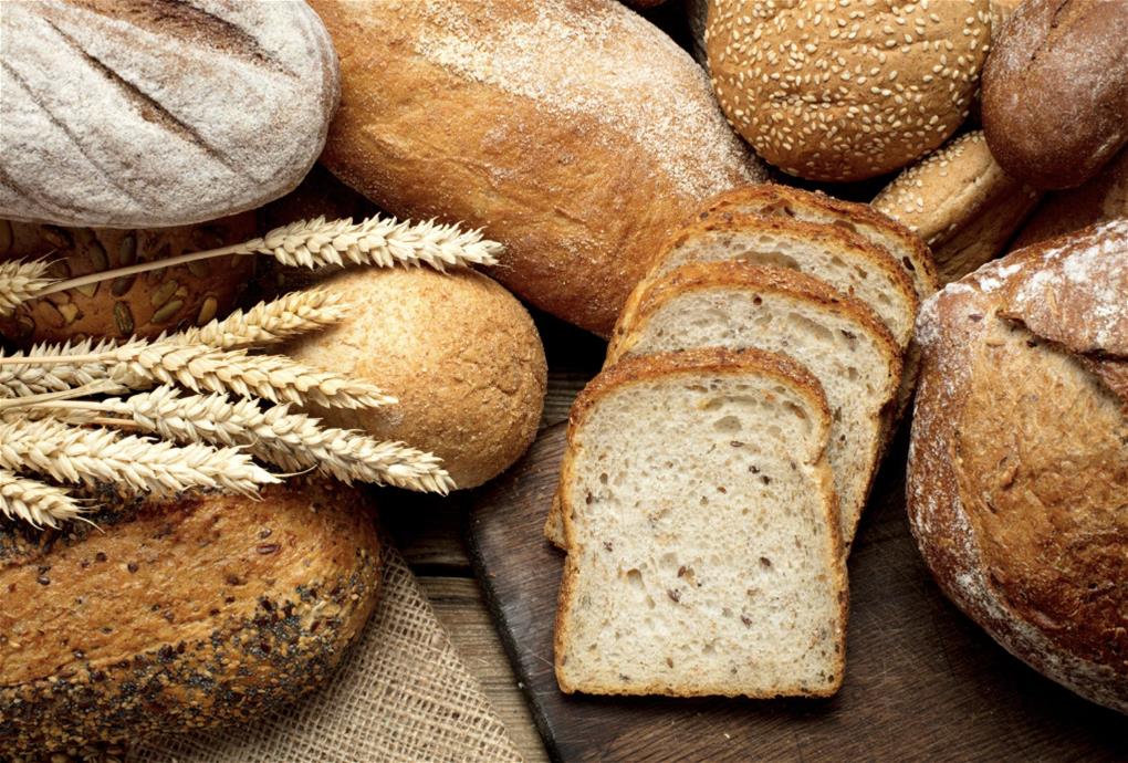 RARE: High ROI Bakery With Freehold Option - Cairns in Trinity Beach ...