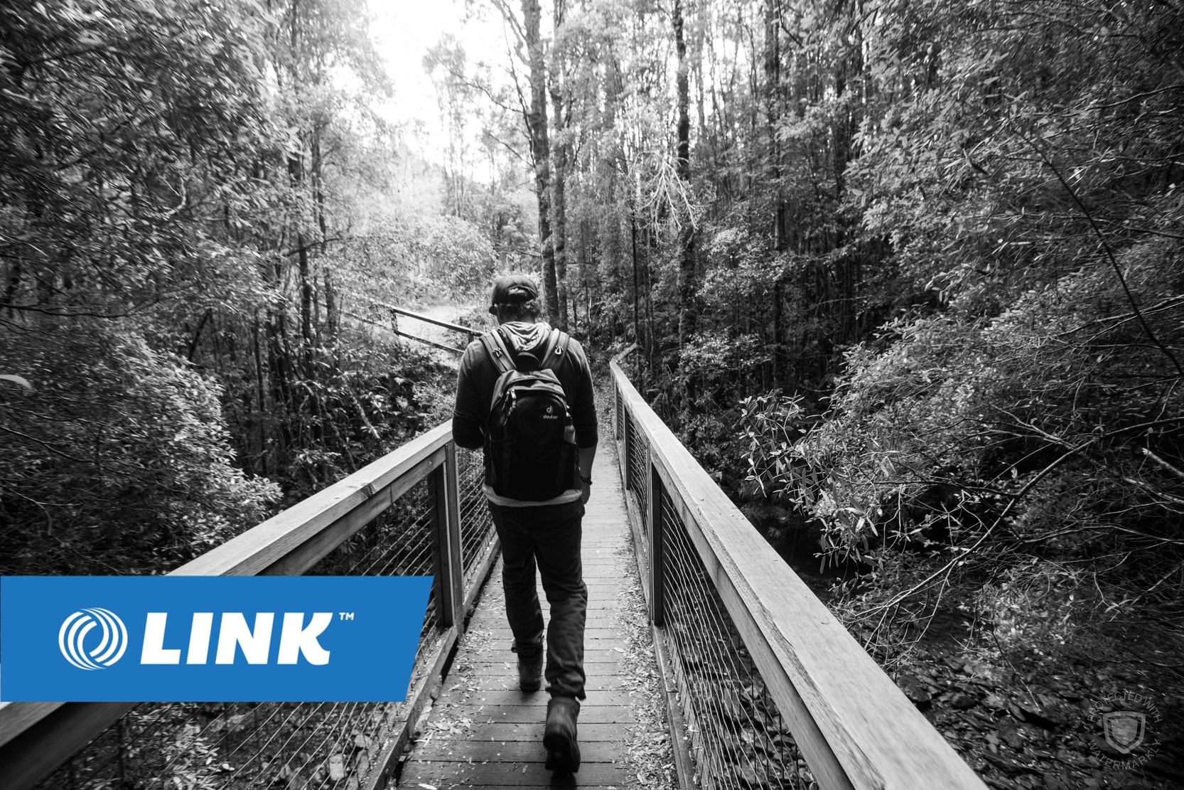 Jump Tours Tasmania – Award winning and industry leading tour operator ...