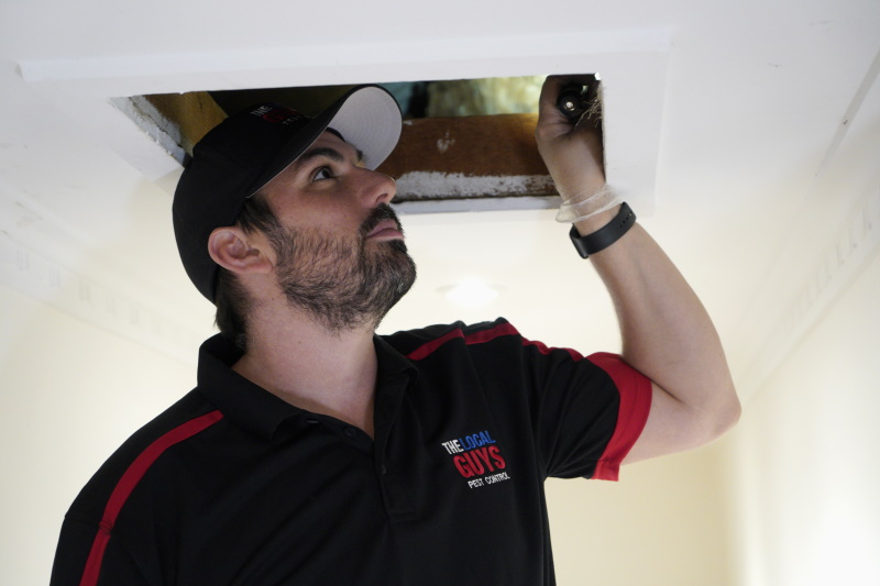 Pest Control Franchise with $2,000 per week Turnover Guarantee in ...