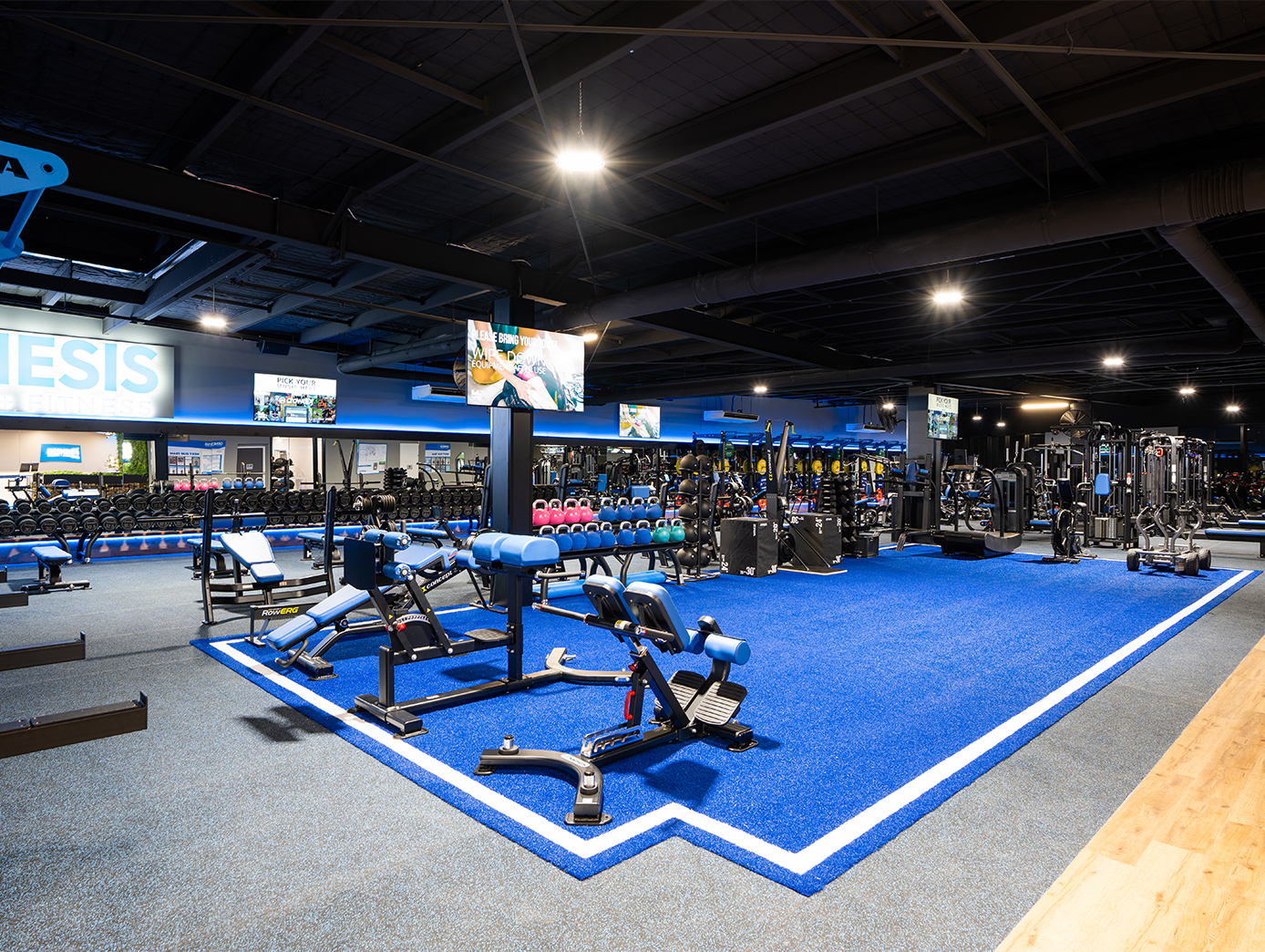 Your Gym, your way, with Genesis Health + Fitness, Australia's premier ...