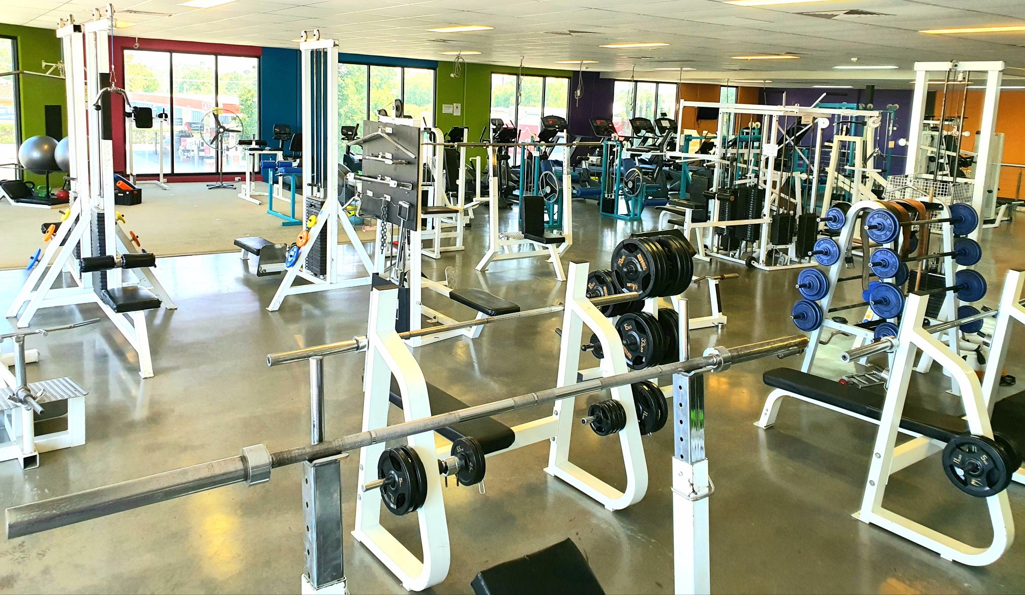 Successful gym & fitness business with huge space & modern equipment ...