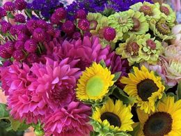 Gifts Businesses and Franchises for sale in Lightning Ridge, NSW 2834 ...