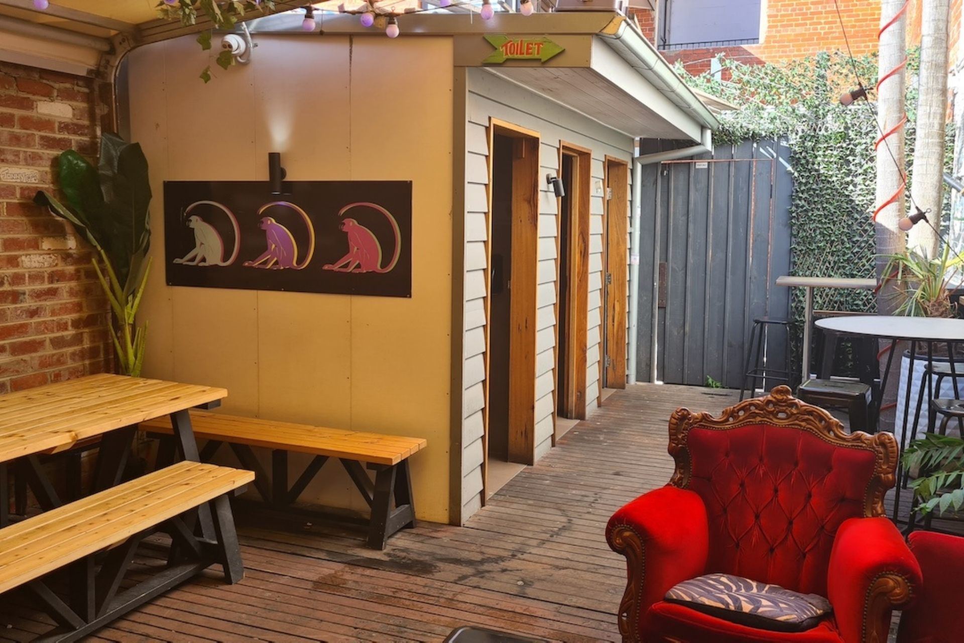 Three Monkeys - Award Winning Bar on Chapel Street in Prahran VIC, 3181 ...