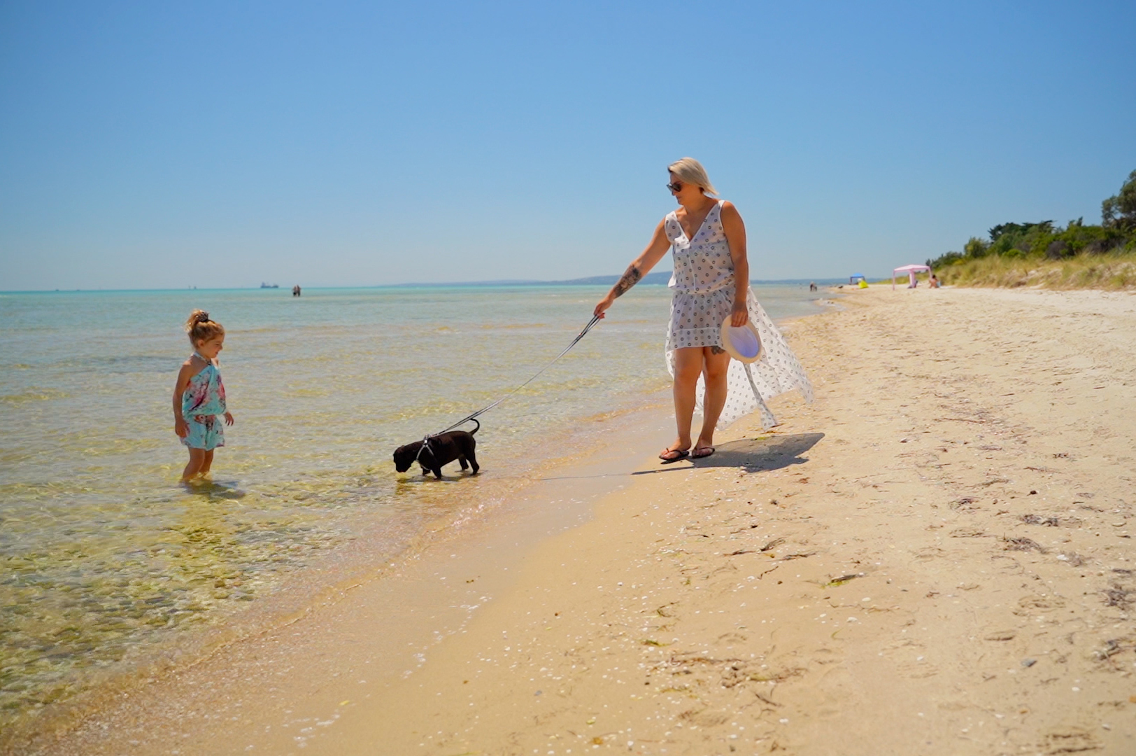 Online E-commerce Business Opportunity – Melbourne and Australia Wide ...