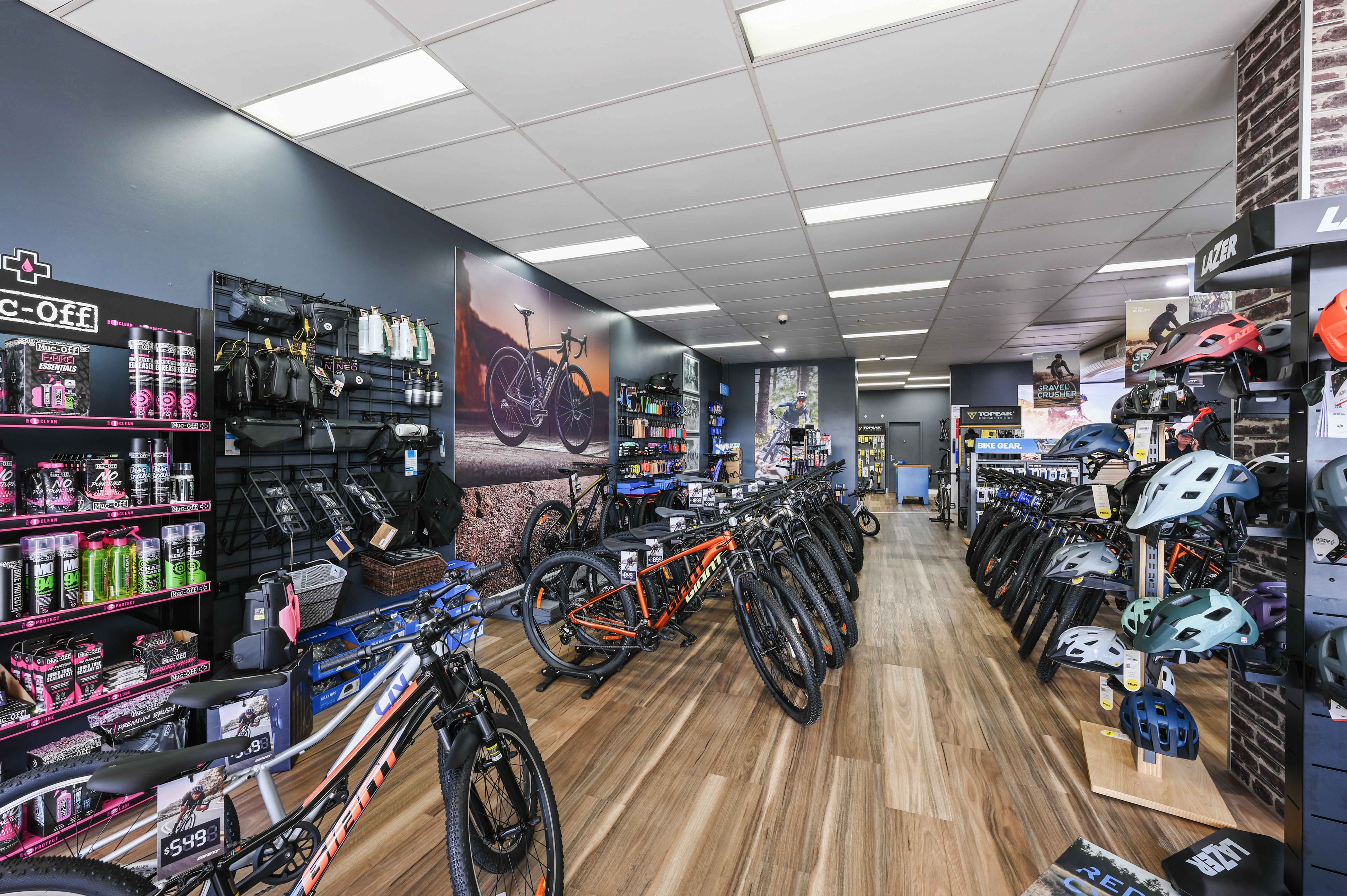 Giant Bike Store Toowoomba in Regional QLD QLD SEEK Business